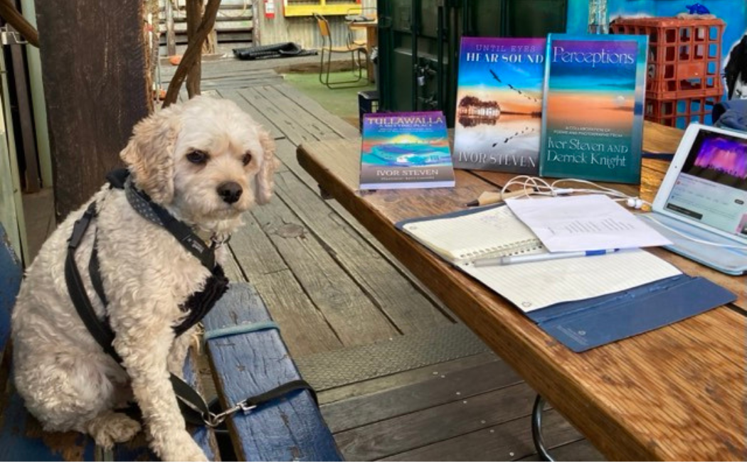 Reeling in Reality (a Senryu) – Ivor.Plumber/Poet