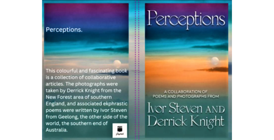 Robbie’s Inspiration – Book reviews: Perceptions by Ivor Steven and ...