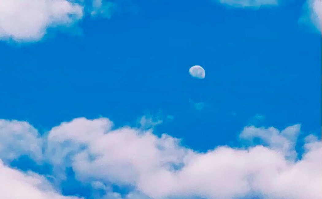 Joyful Obsessions (a Rhyming Haiku) – Ivor.Plumber/Poet