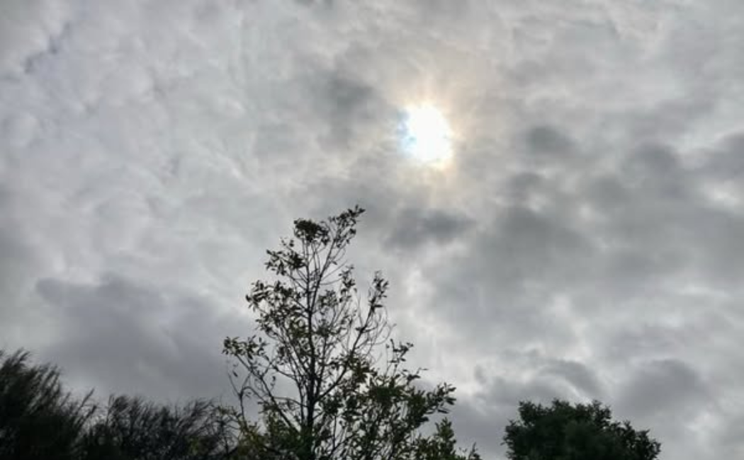 My Dark Apparition – Ivor.Plumber/Poet