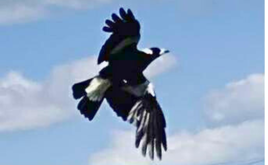 Throwback Friday, Flying Through Time – Ivor.Plumber/Poet