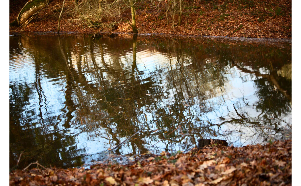 I’m 0n the Brink, I think – Ivor.Plumber/Poet