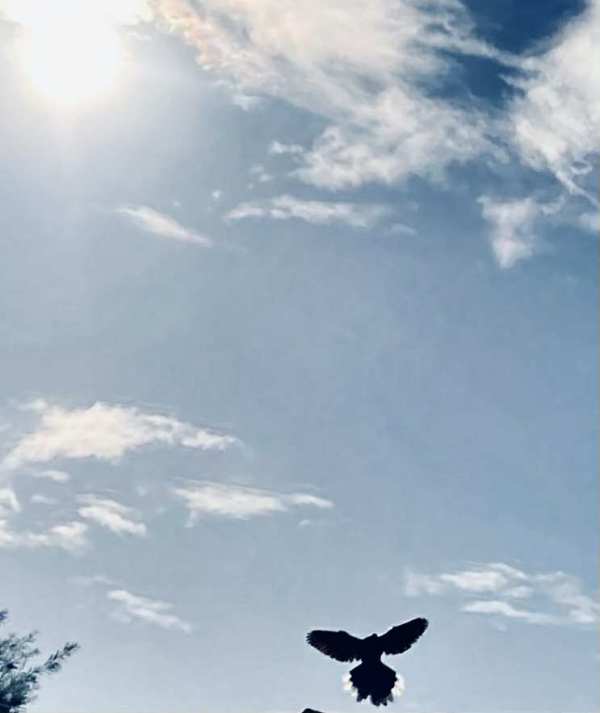 Throwback Friday, Beyond Sight (a Haiku) – Ivor.Plumber/Poet