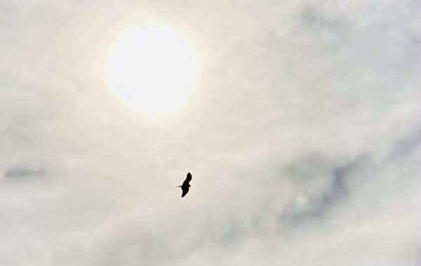 Throwback Friday, Beyond Sight (a Haiku) – Ivor.Plumber/Poet