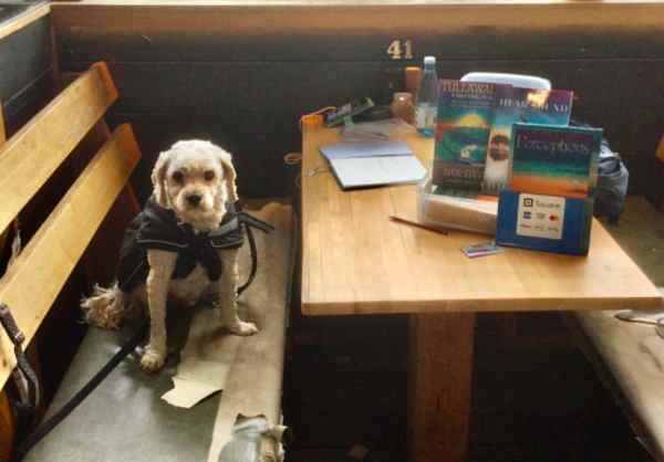 Monday, June 1st 2026 – Ivor.Plumber/Poet