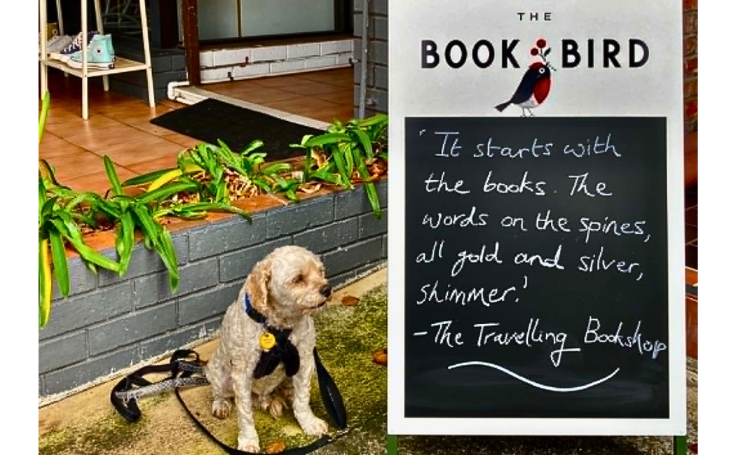 Dog Talk – Ivor.Plumber/Poet
