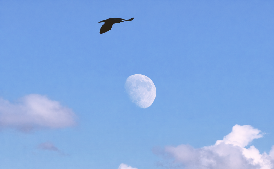 Beyond the Midday Moon – Ivor.Plumber/Poet