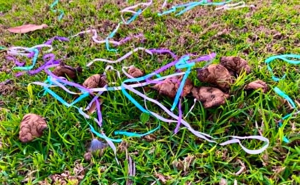 A Magic Mushroom Party – Ivor.Plumber/Poet