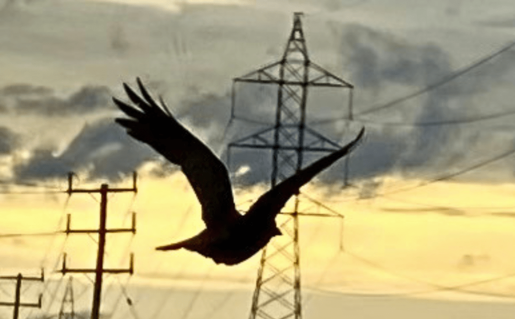 Is My Horizon Unreachable? – Ivor.Plumber/Poet
