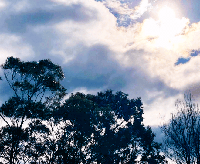The Sun’s Winter Glow – Ivor.Plumber/Poet